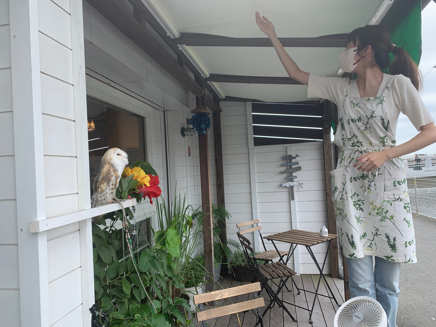 ディンブラ・ブログ – Page 9 | 【紅茶専門店ディンブラ】美味しいフレッシュセイロンティーDIMBULA